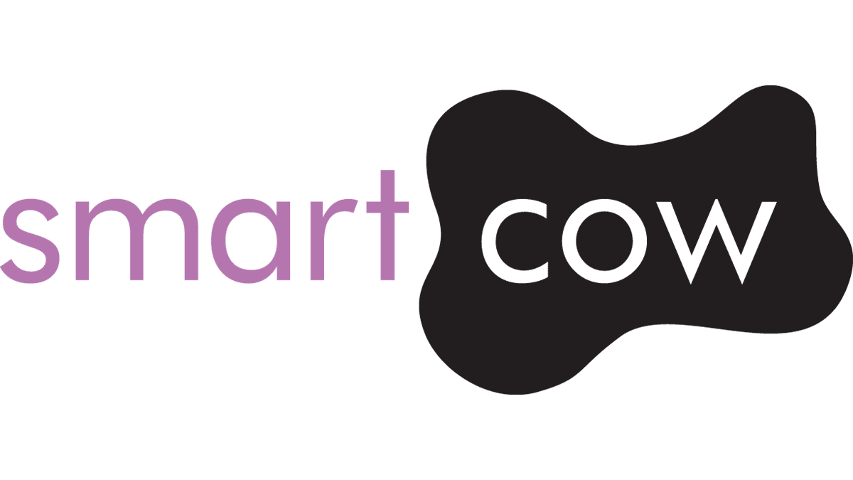 Smart Cow: Digital Marketing in Croydon & Surrey